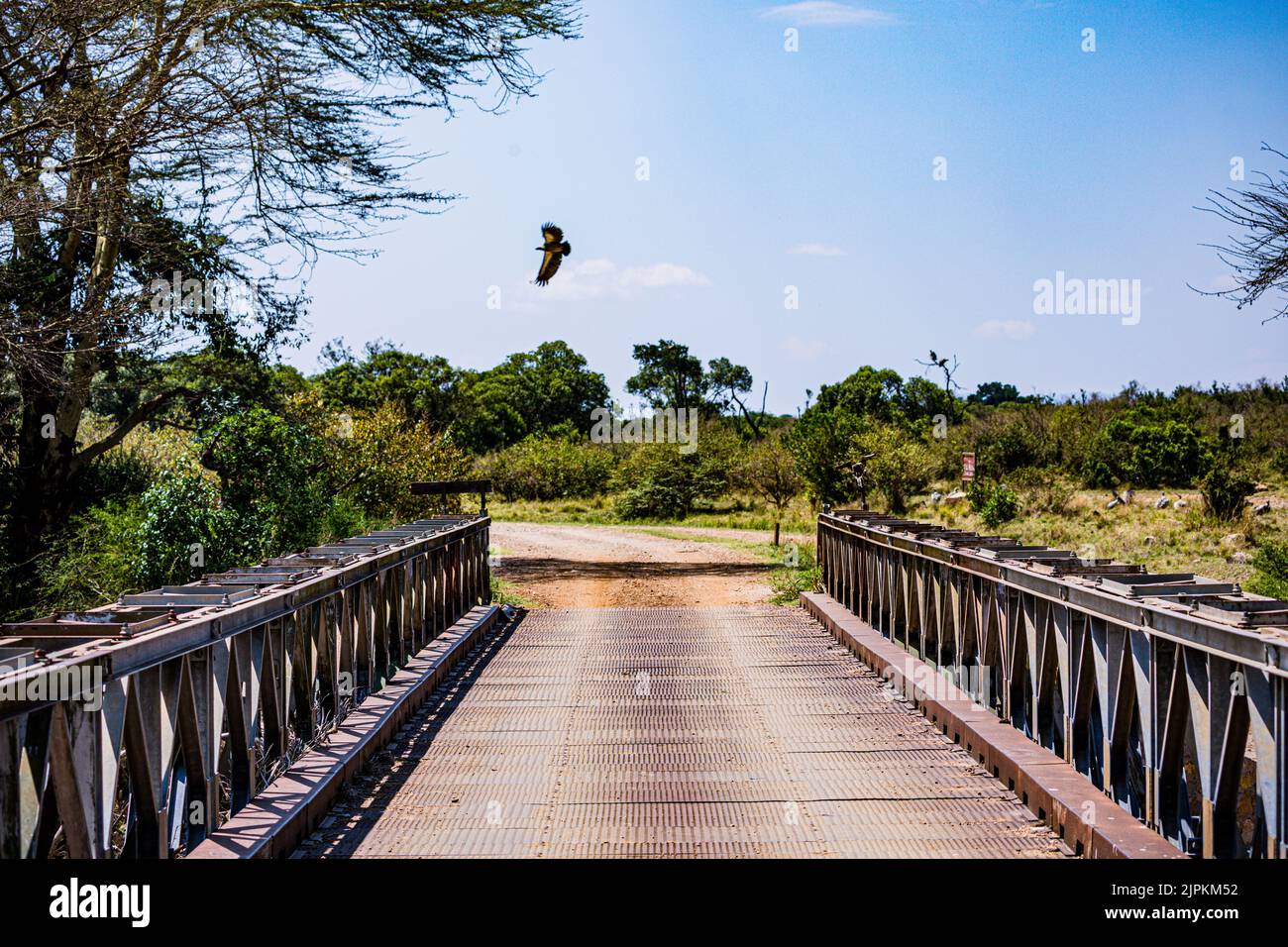 Maasai Mara Concrete Bridge Metallic Mara Triangle Narok County Kenya ...