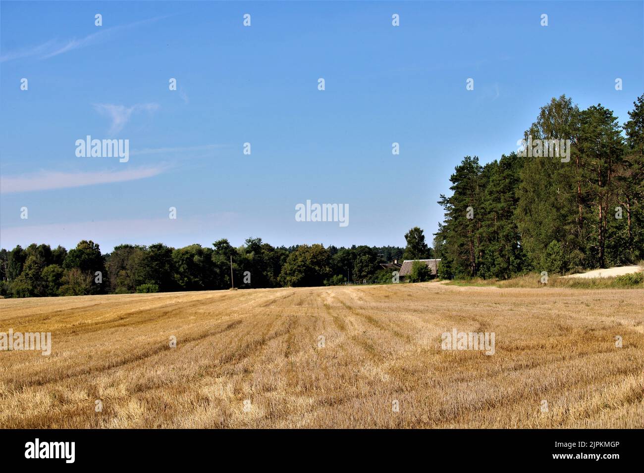 The beautiful nature of Latvia Stock Photo - Alamy
