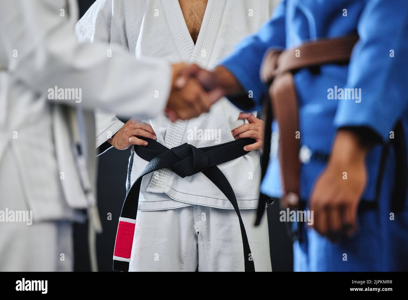 Handshake, karate and martial arts teamwork in competition, challenge ...