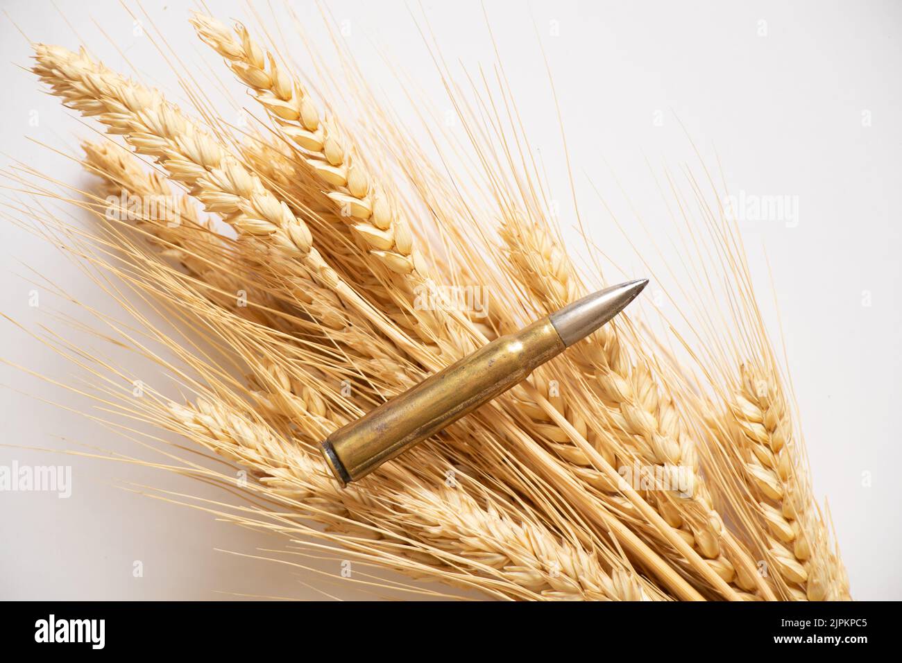 The bullet lies on wheat on a white background, crop protection in ...
