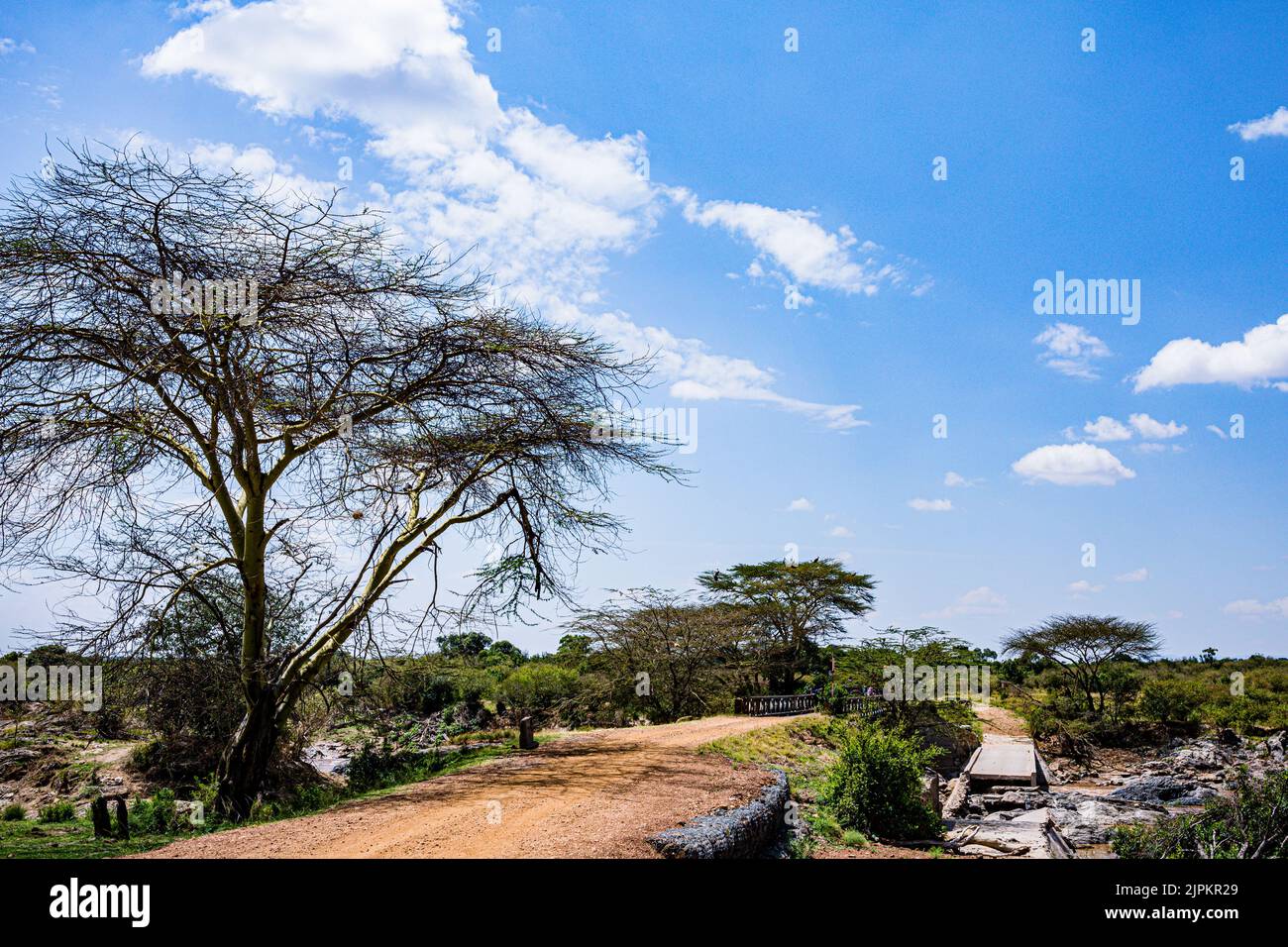 Mara River Bridge Narok County Maasai Mara National Game Reserve Park ...