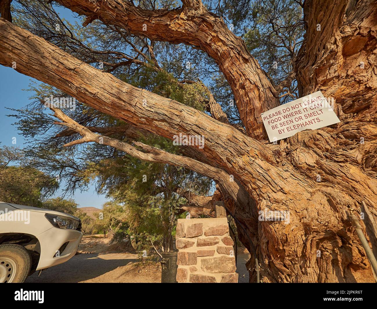 Warning sign in a camelthorn tree in Puros warning of Elephants Stock ...