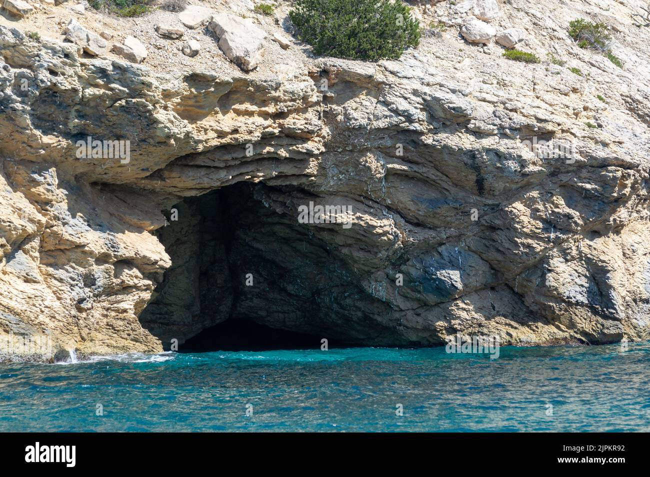Mediterranean pine trees growing on white limestone rocks and cliffs in ...