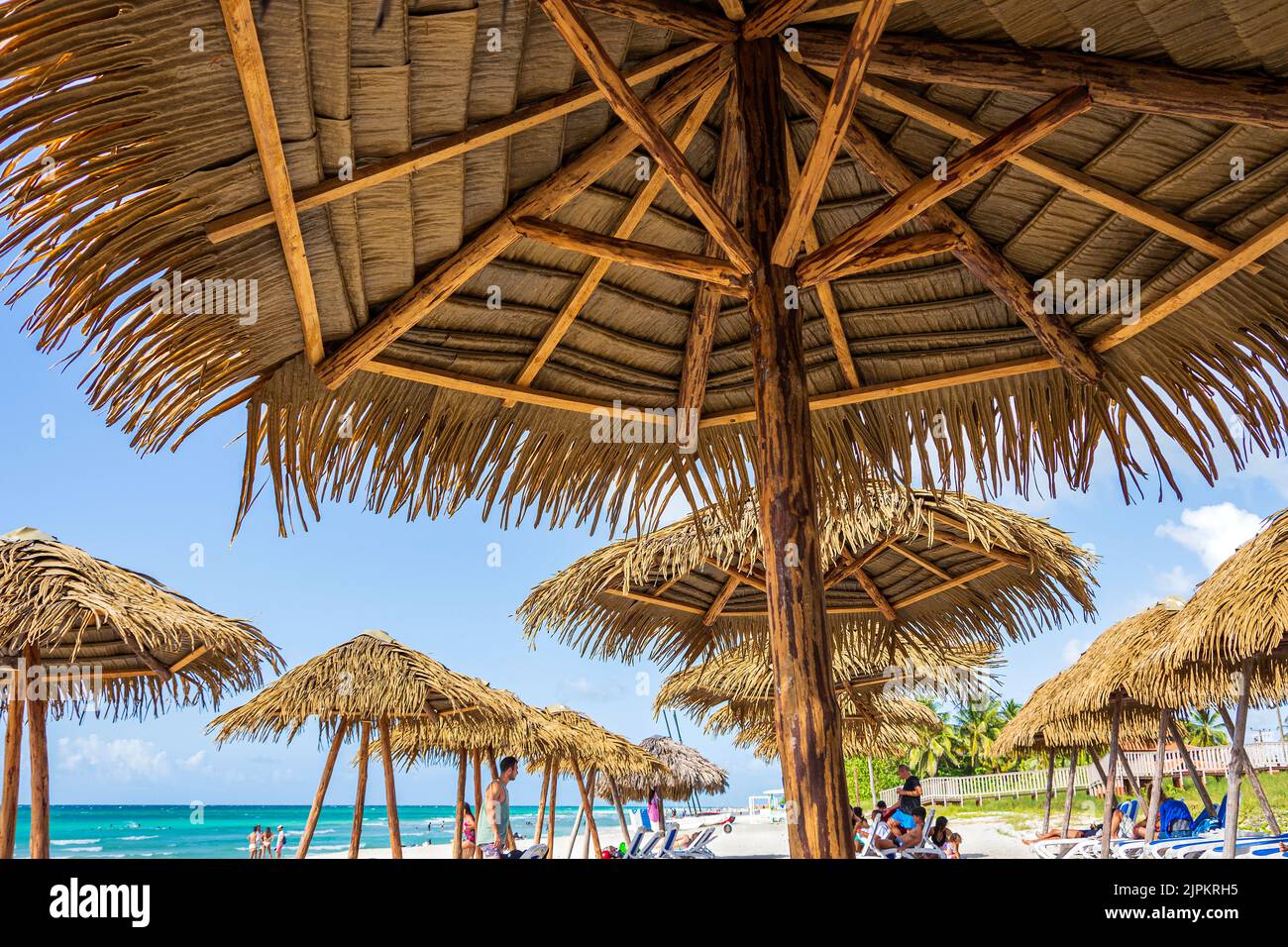 A grouping of thatched, roof beach umbrellas, Varadero Beach, Cuba ...