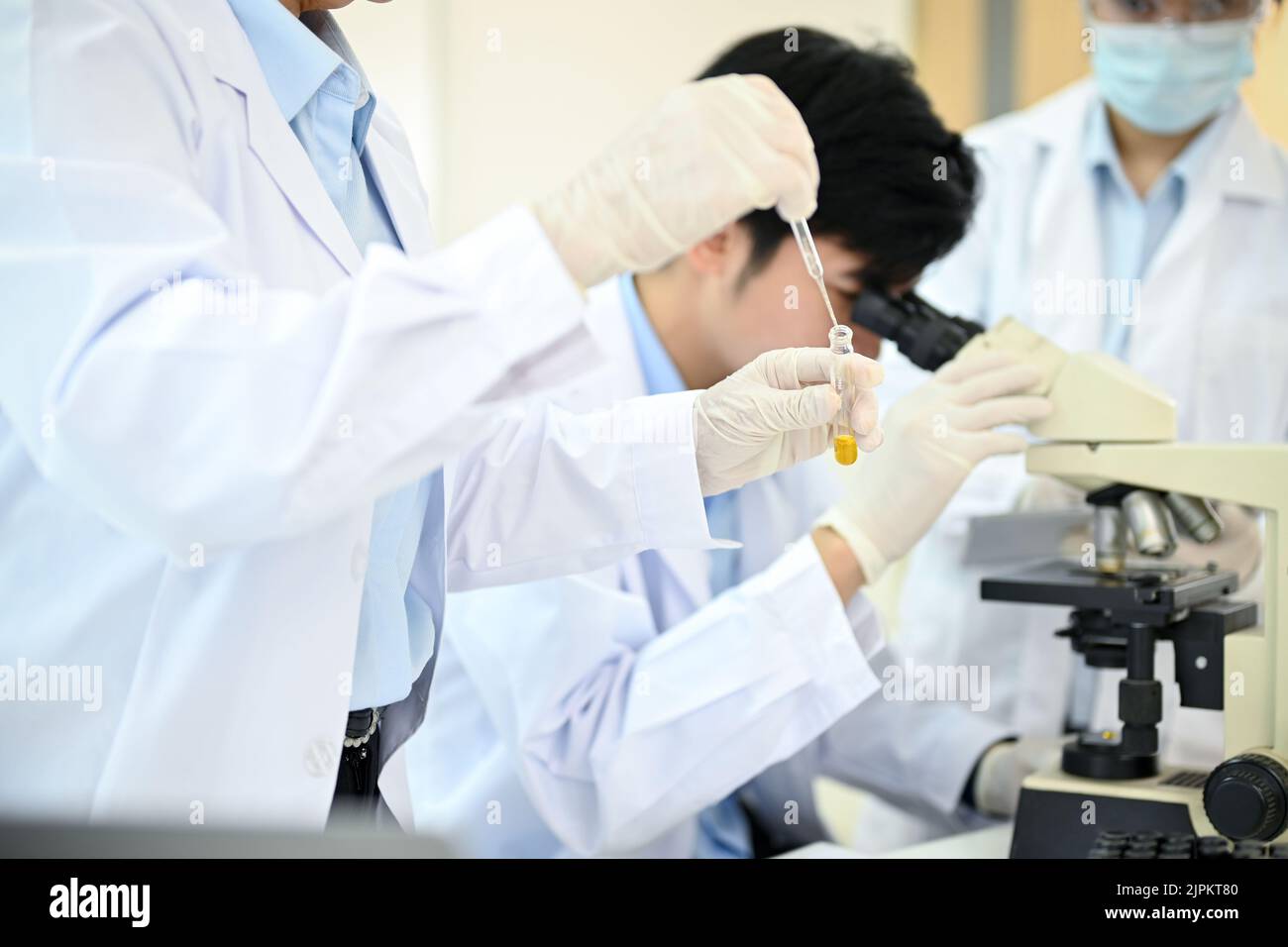 cropped image, a professional Asian scientist team is concentrating on ...