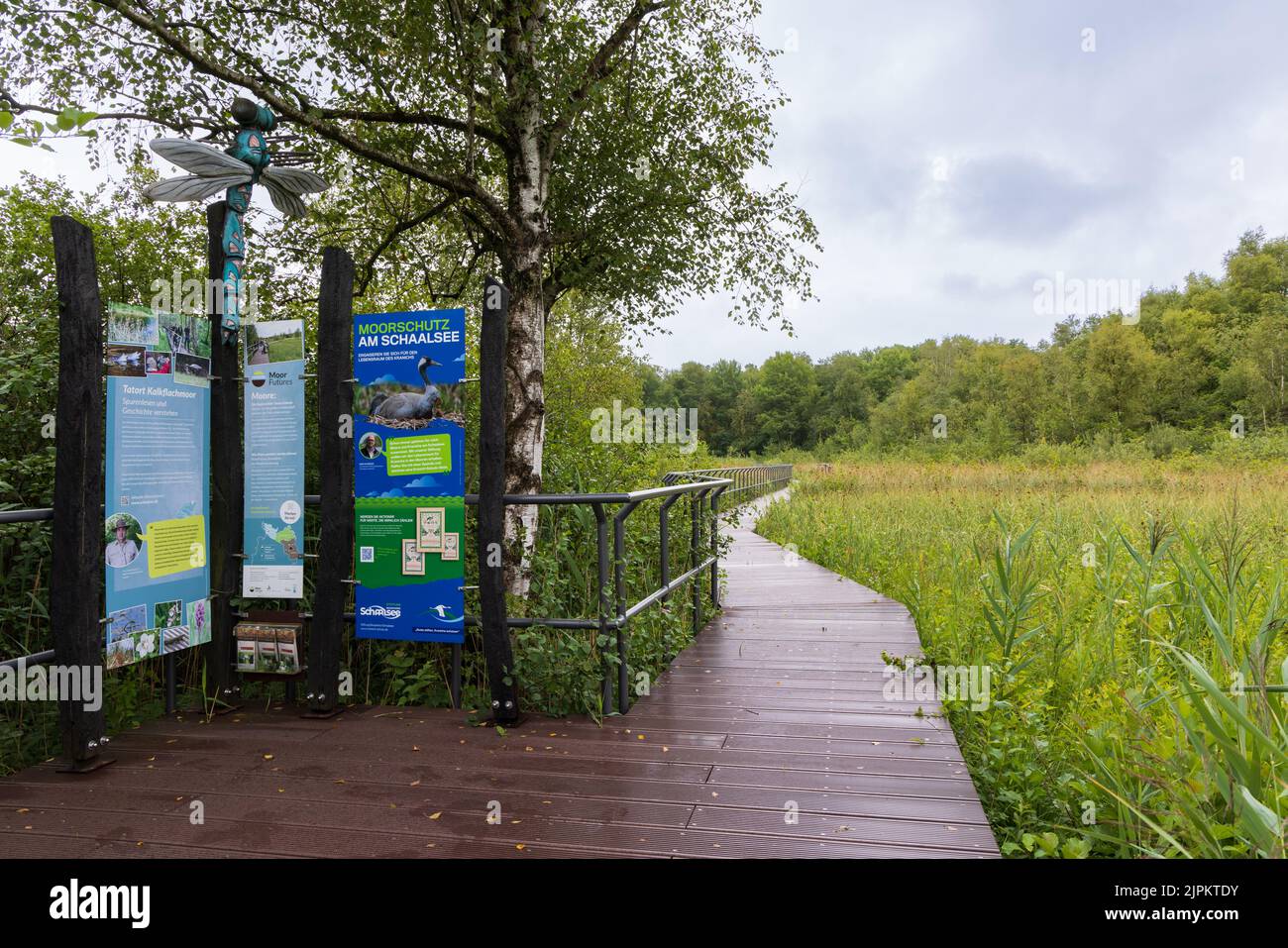 Zarrentin am Schaalsee , Germany- August 1, 2022: Marsh walk ...
