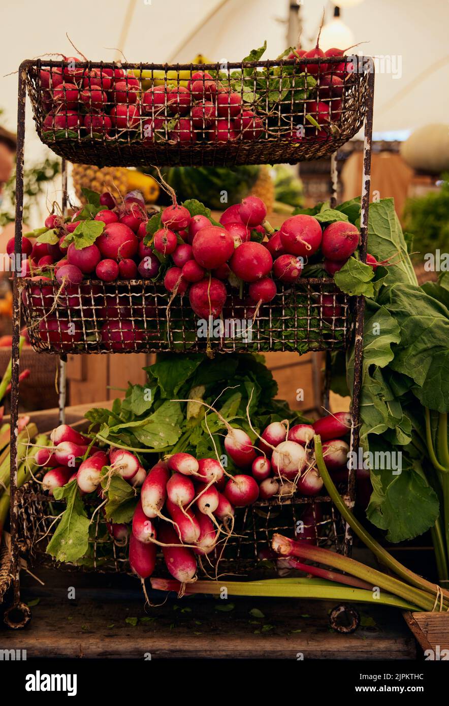 A vertical shot of fresh radish in a food market in Cape Town, South ...