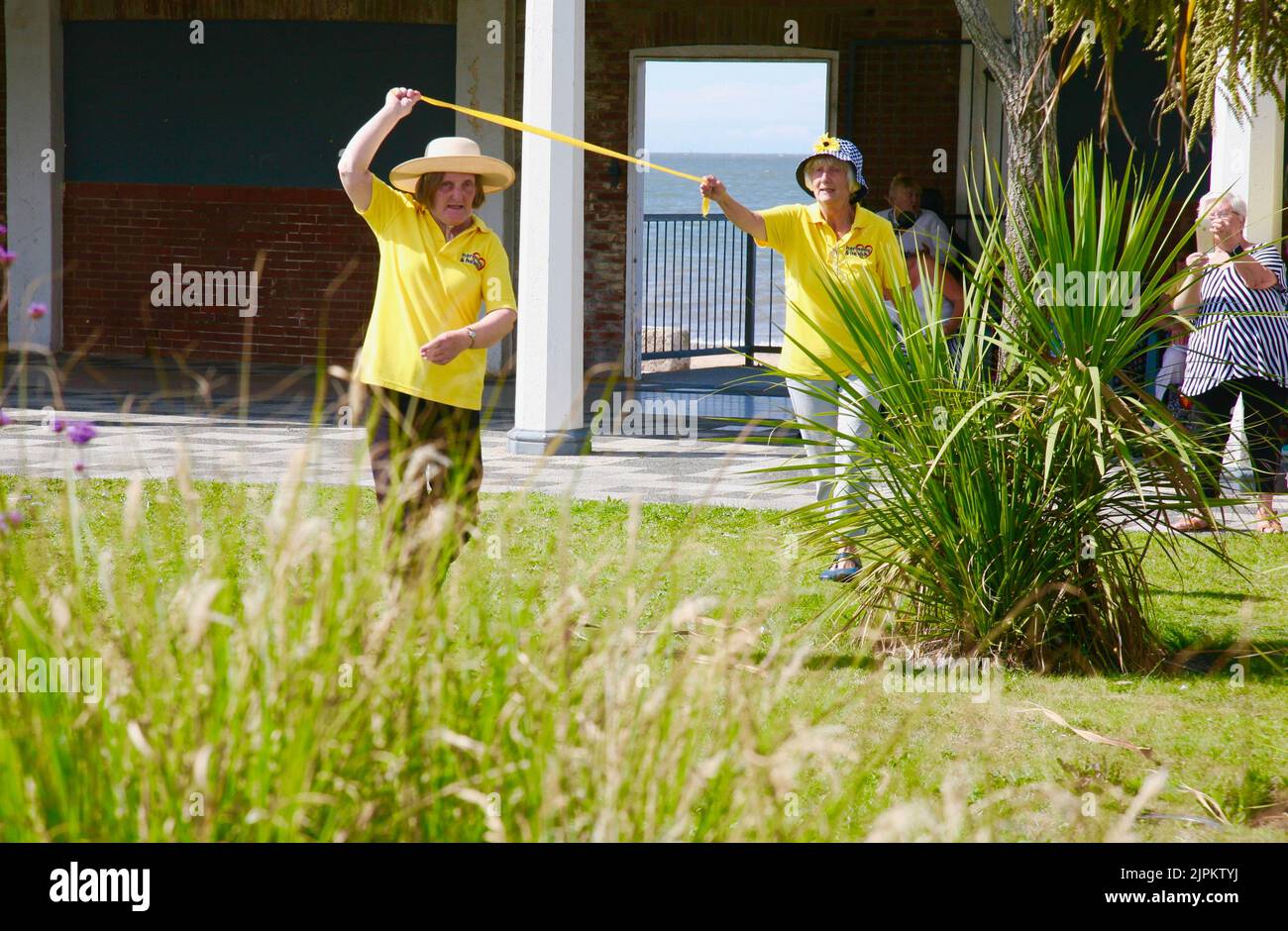 Tie the yellow ribbon round the old oak tree Stock Photo - Alamy