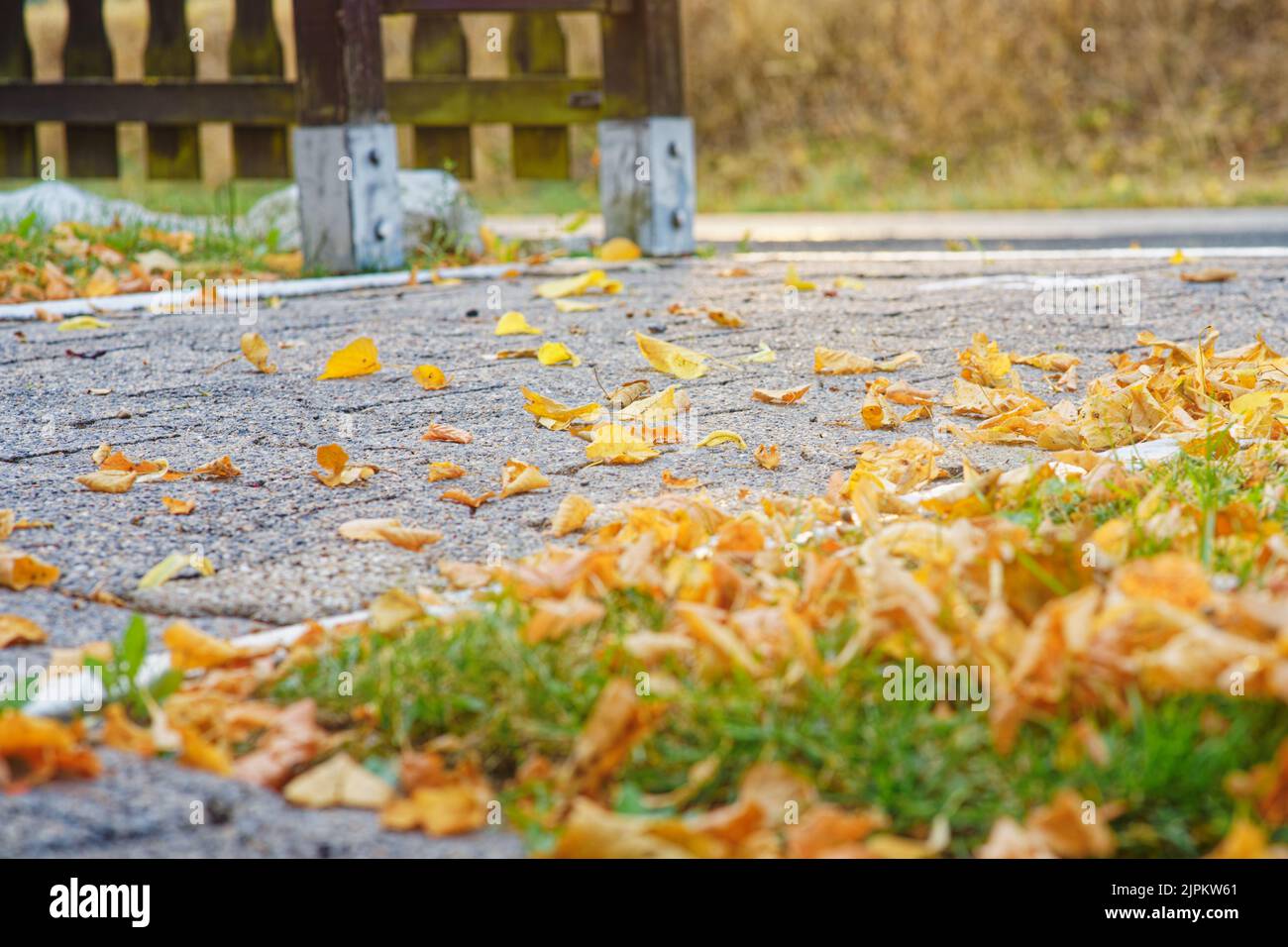 Double double t bone hi-res stock photography and images - Alamy