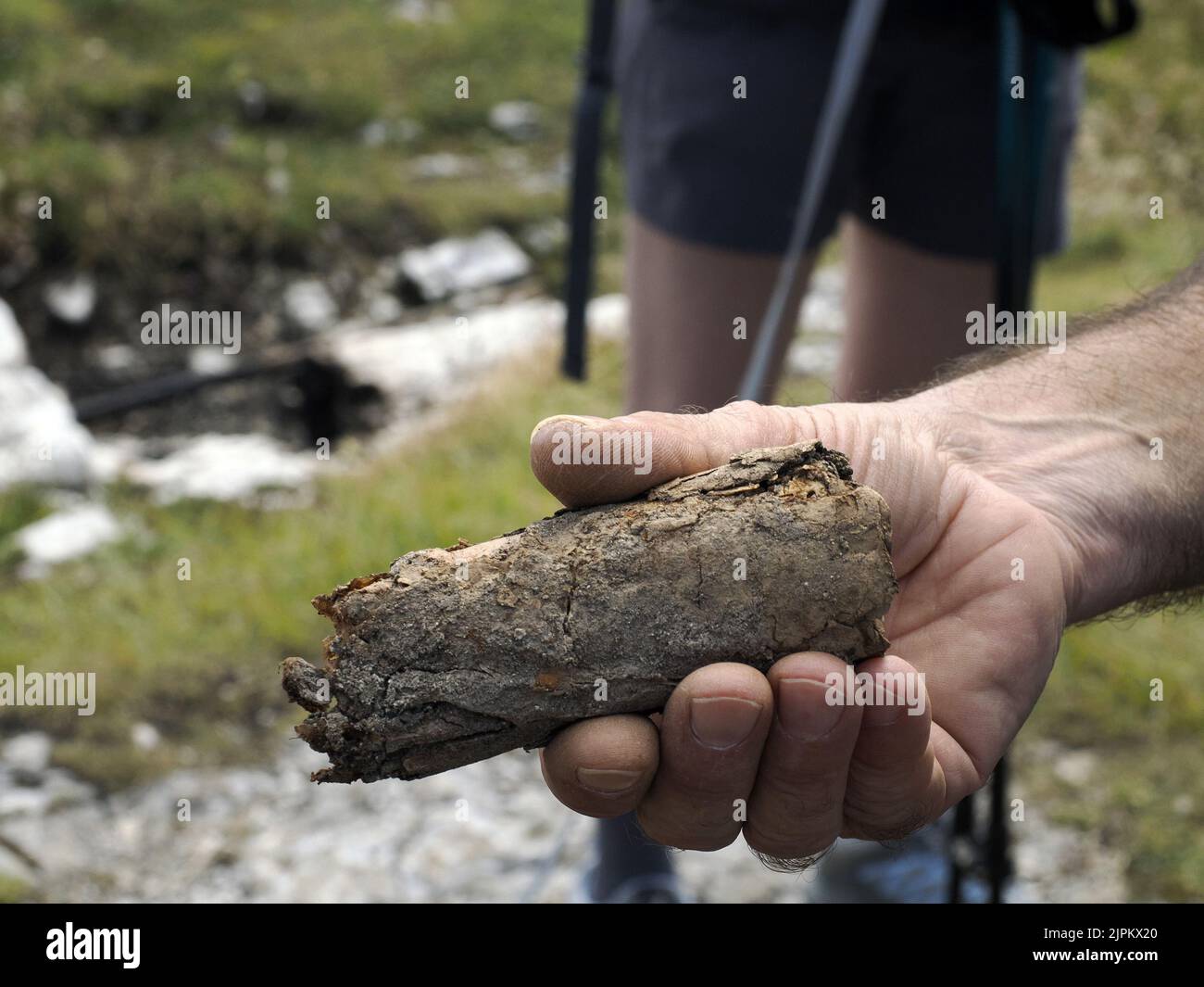 detail of first world war weapons found on Piana Mountain dolomites ...