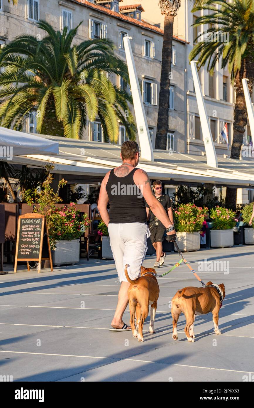 A vertical shot of a male walking with dogs in the street of Split ...