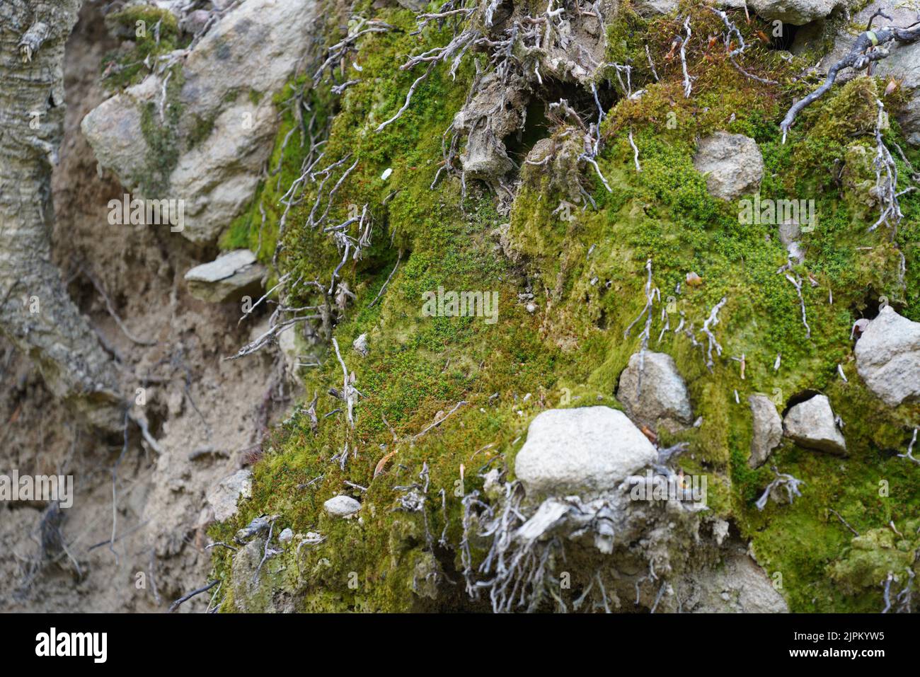 Closeup shot slope rocky hi-res stock photography and images - Alamy