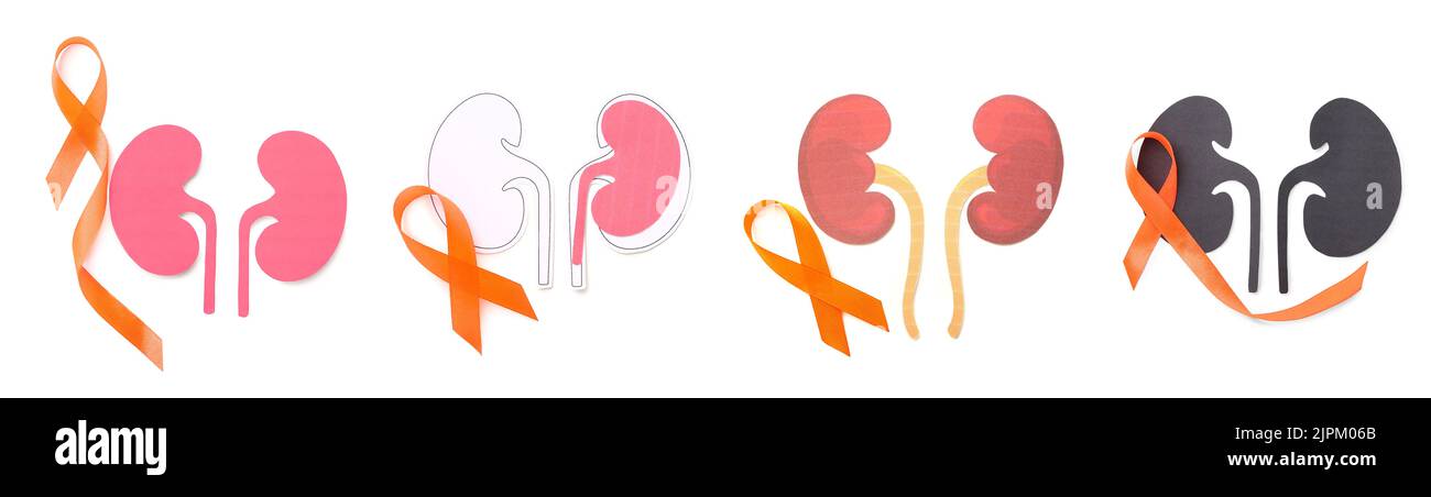 Group of orange awareness ribbons and paper human kidneys on white ...