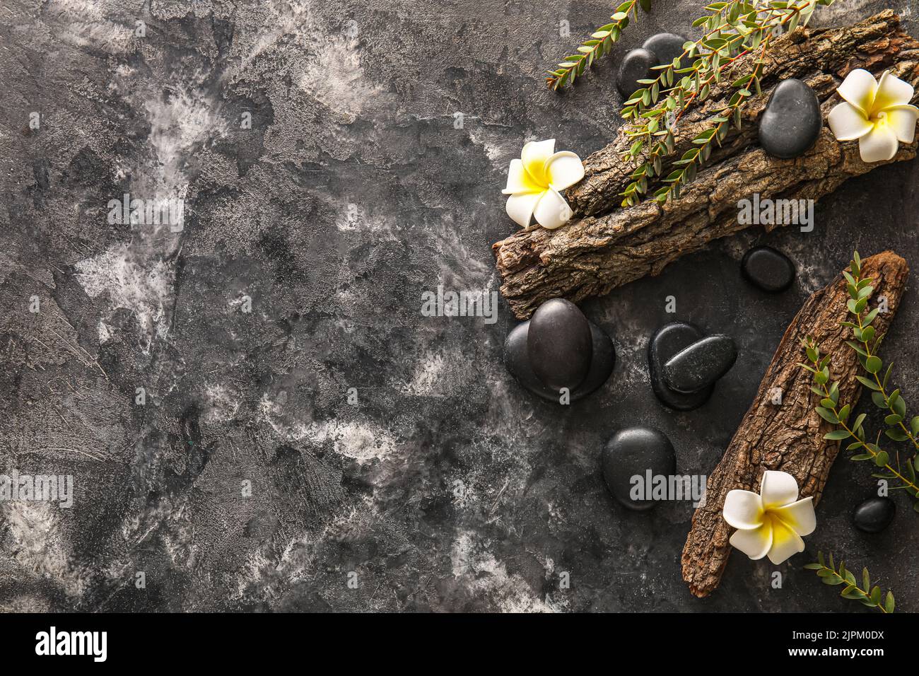 Composition with spa stones, tree bark, flowers and eucalyptus branches ...