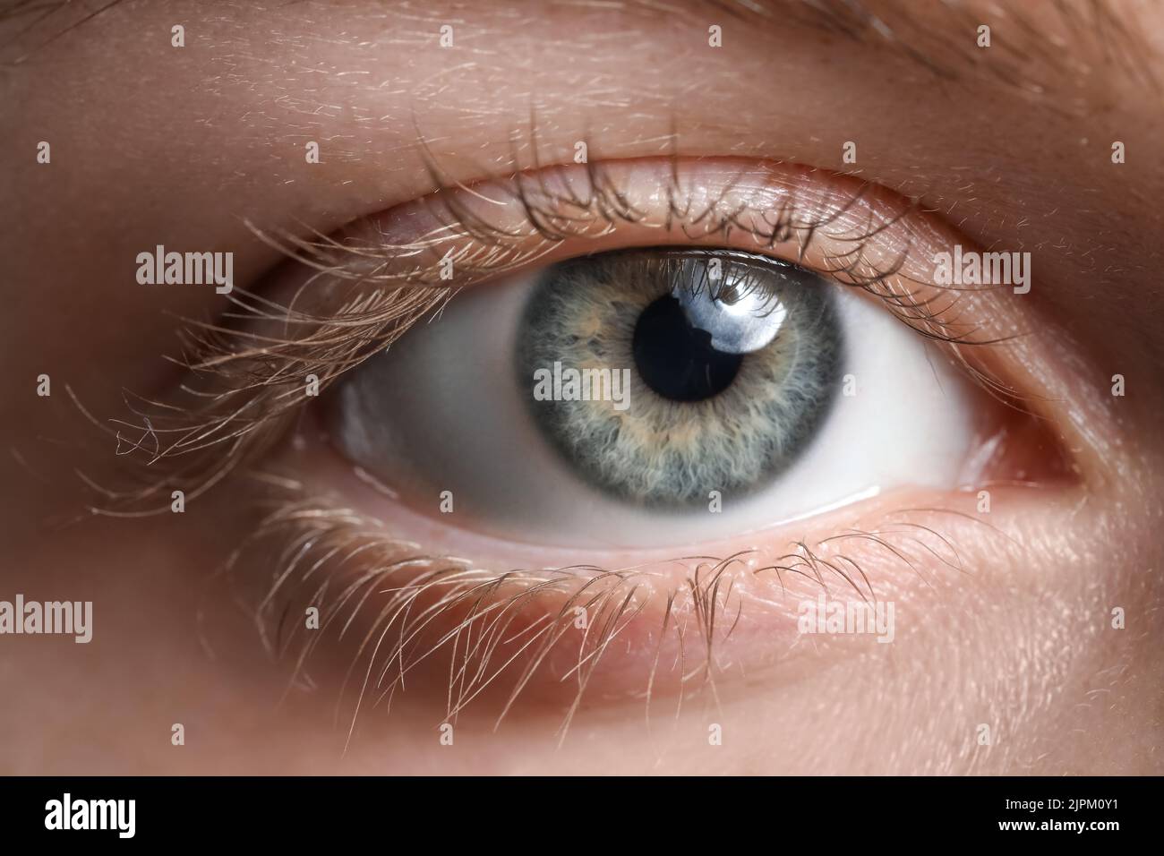 Woman with beautiful eyes, closeup Stock Photo - Alamy