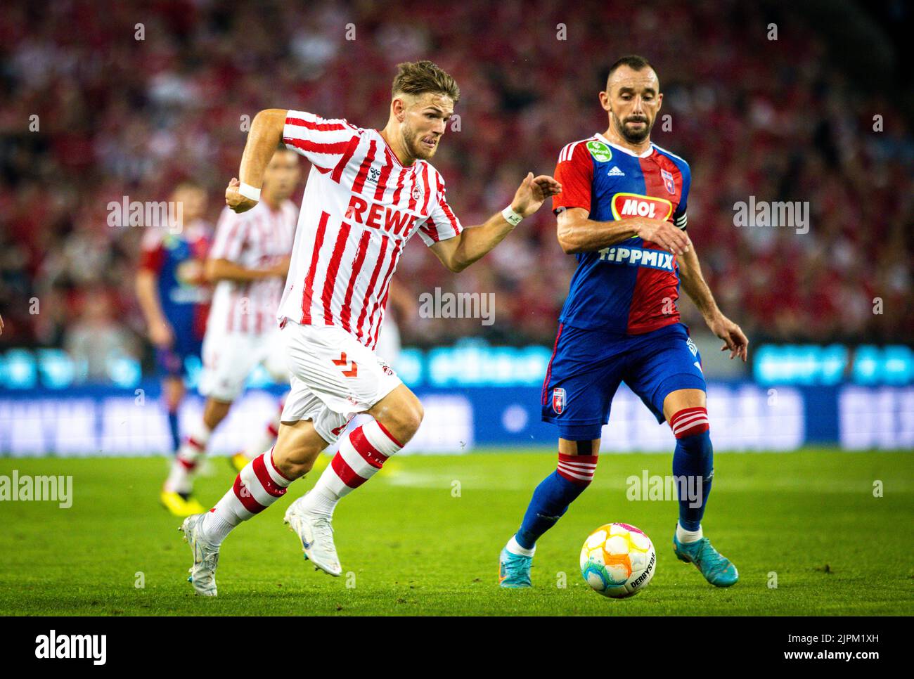 Jan Thielmann (Köln) 1. FC Köln - Fehervar FC Qualifikation Europa ...
