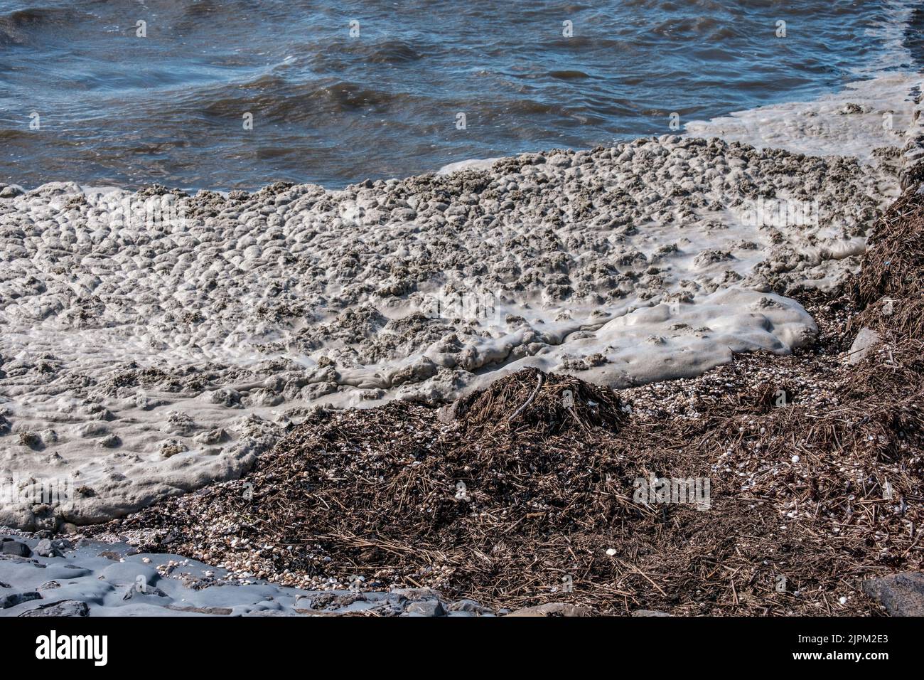 Dried foam on beach hi-res stock photography and images - Alamy