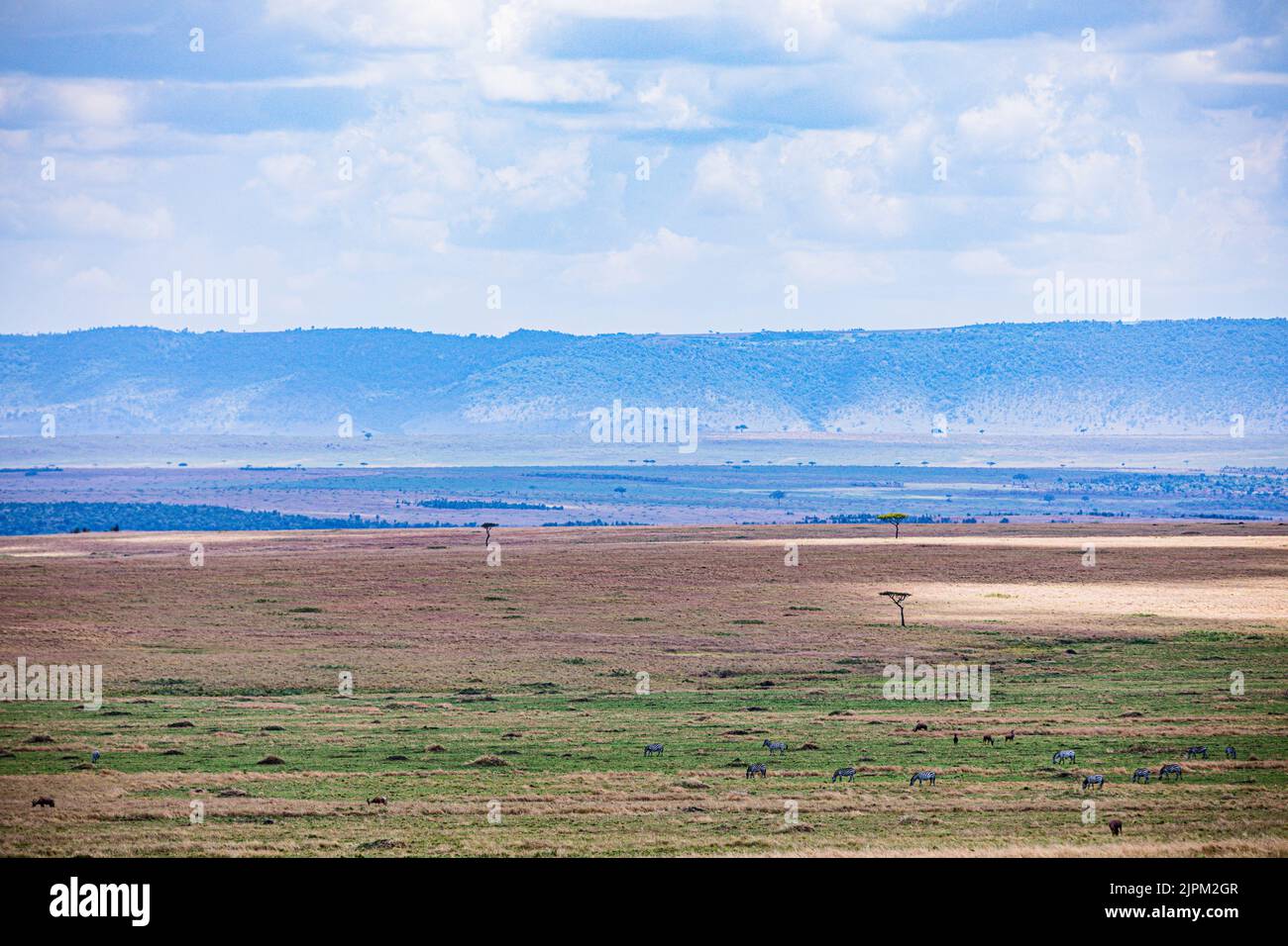 Maasai Mara National Game Reserve Park Narok County Kenya East Africa ...