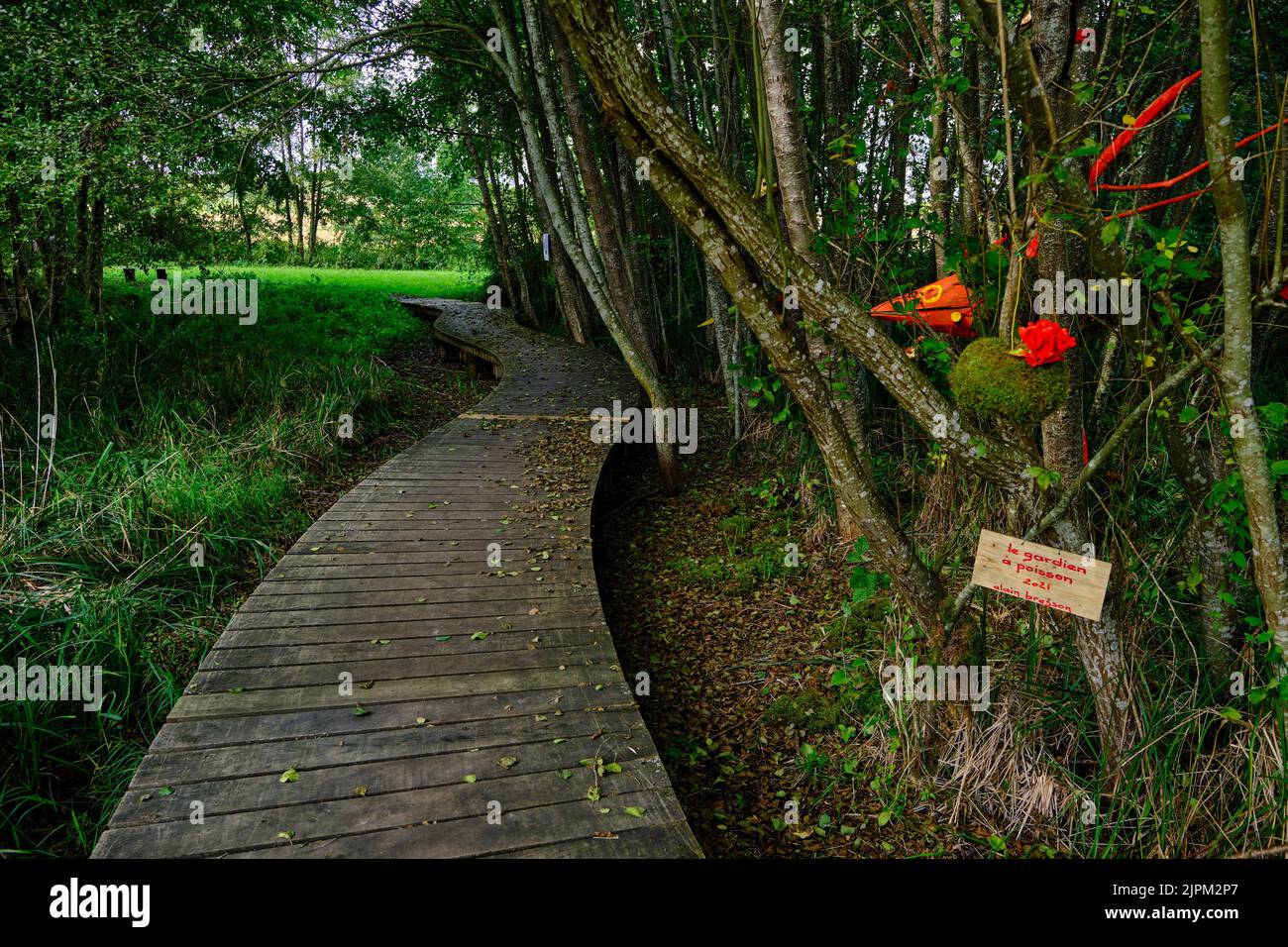 France, Loir-et-Cher (41), Cisse Valley ("secret" valley between ...