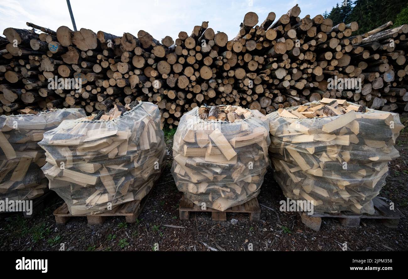 Chopped wood for wood-burning fires. Photo: Johan Nilsson / TT / code ...