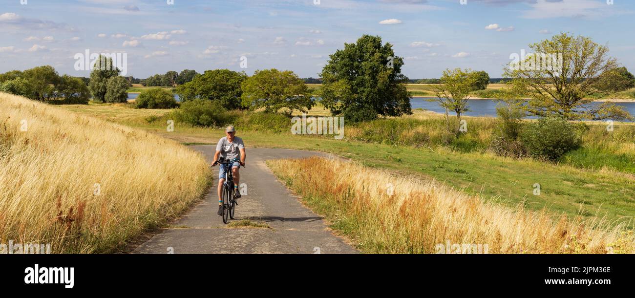 Man cycling along the Elbe river and the green belt former inner-German ...