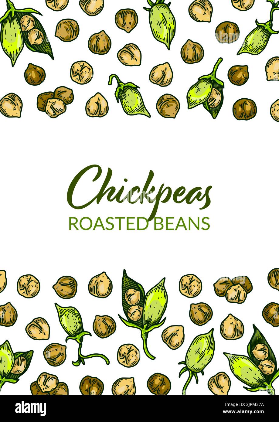 Colorful vertical chickpeas design. Hand drawn illustration in colored ...