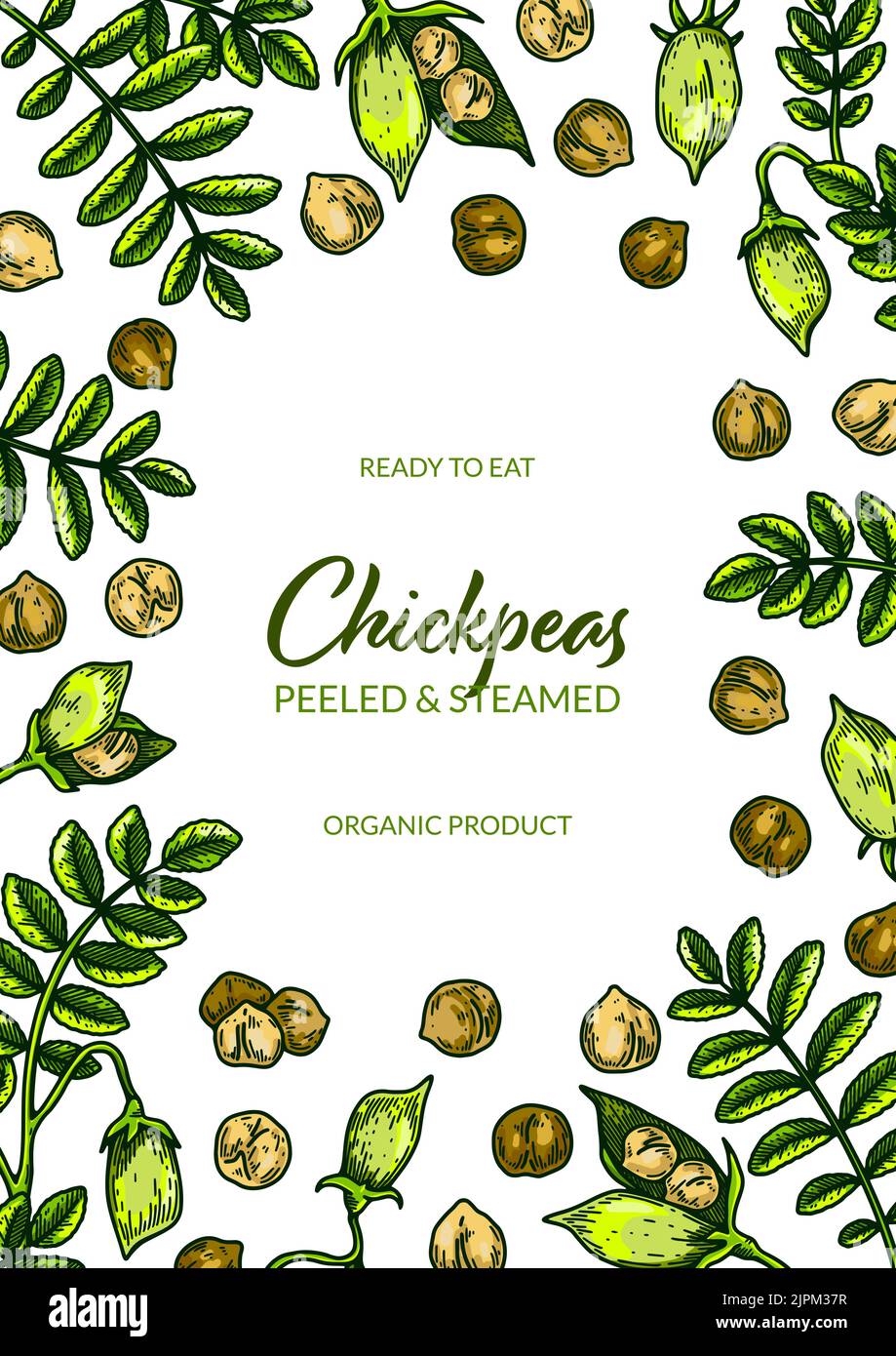 Colorful vertical chickpeas design. Hand drawn illustration in colored ...
