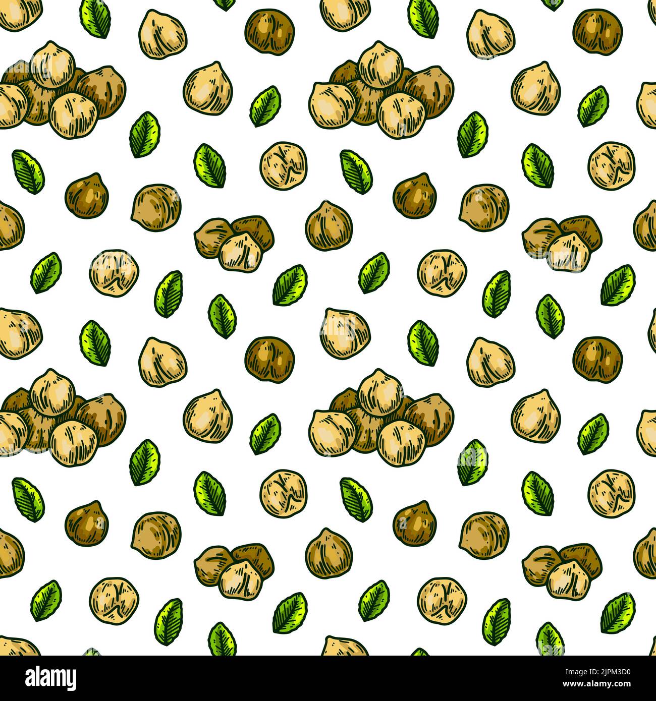 Hand drawn chickpeas seamless pattern. Vector illustration in colored ...