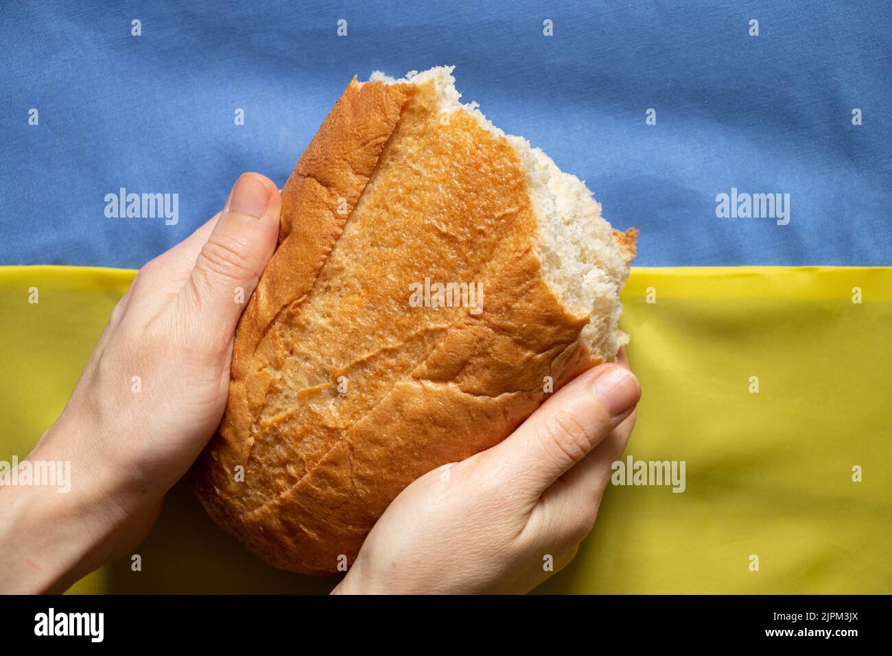 A loaf of bread in the hands of a girl against the background of the ...