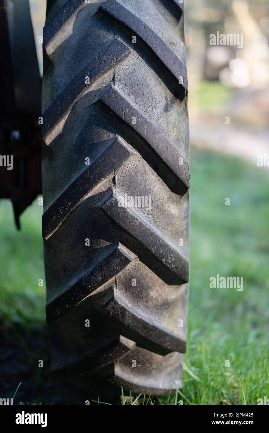 An old blue tractor with its big wheels on the field Stock Photo - Alamy