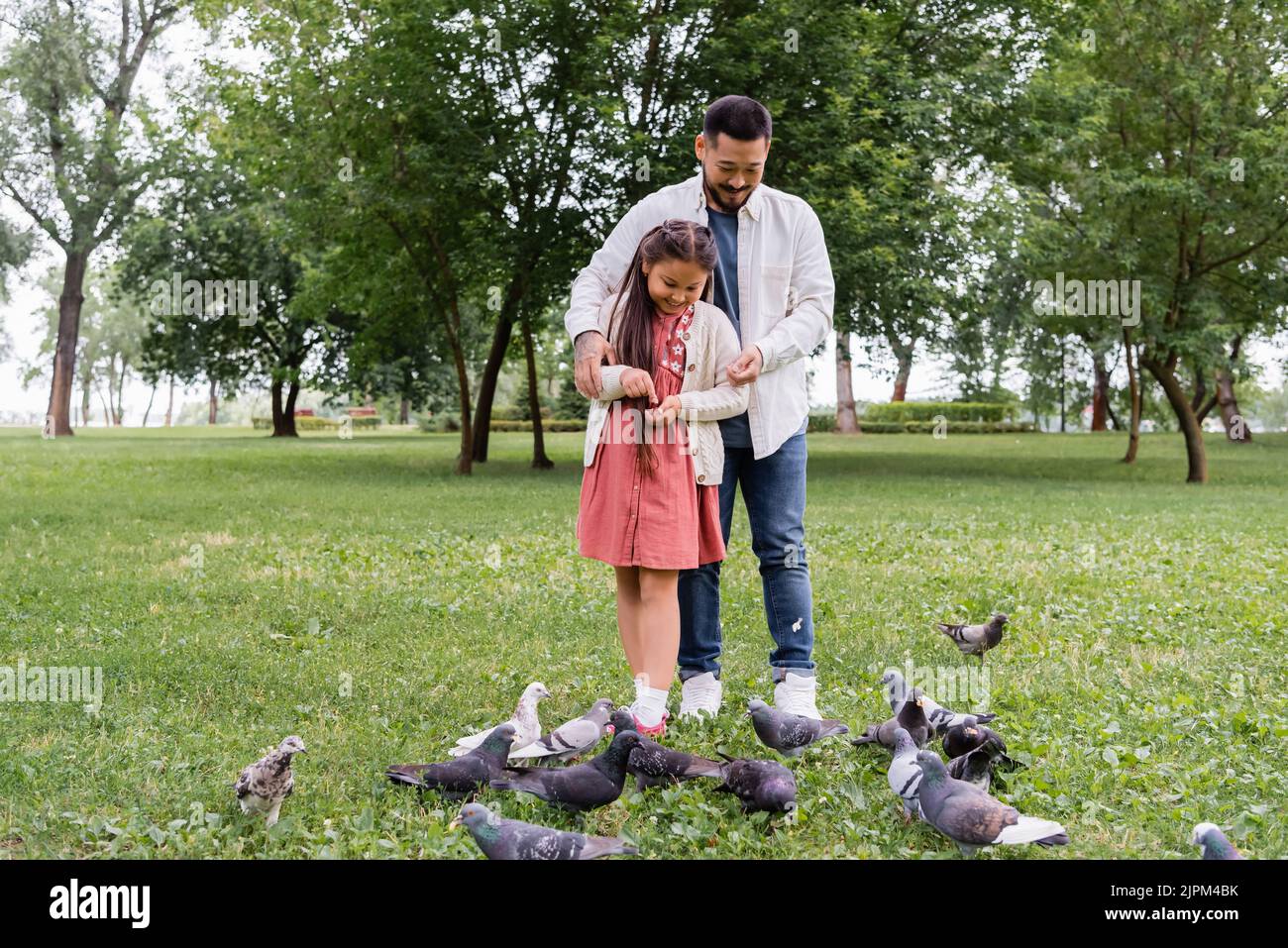 Asian father hugging daughter while feeding doves in summer park Stock ...