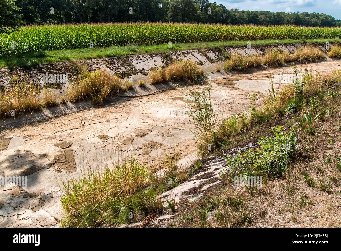 dried out stream due to extreme heat Stock Photo - Alamy