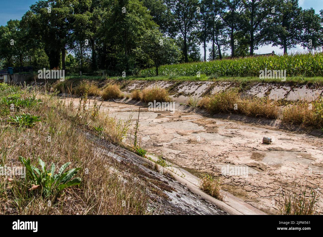 dried out stream due to extreme heat Stock Photo - Alamy