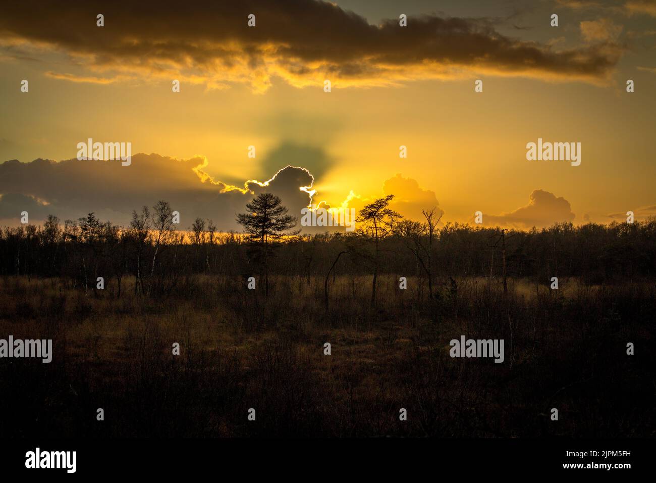 Woold netherlands hi-res stock photography and images - Alamy