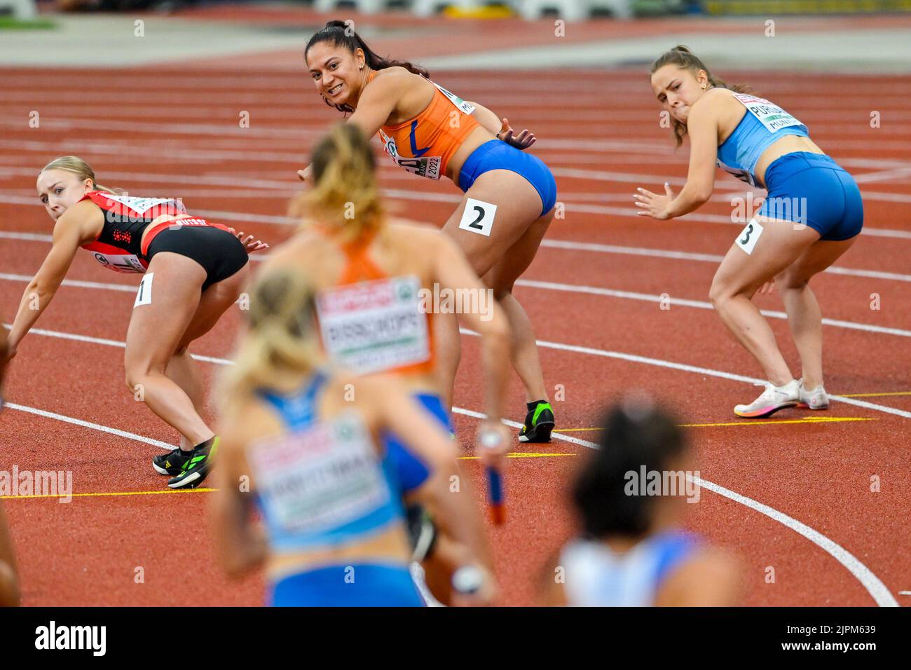 Minke bisschops hi-res stock photography and images - Alamy