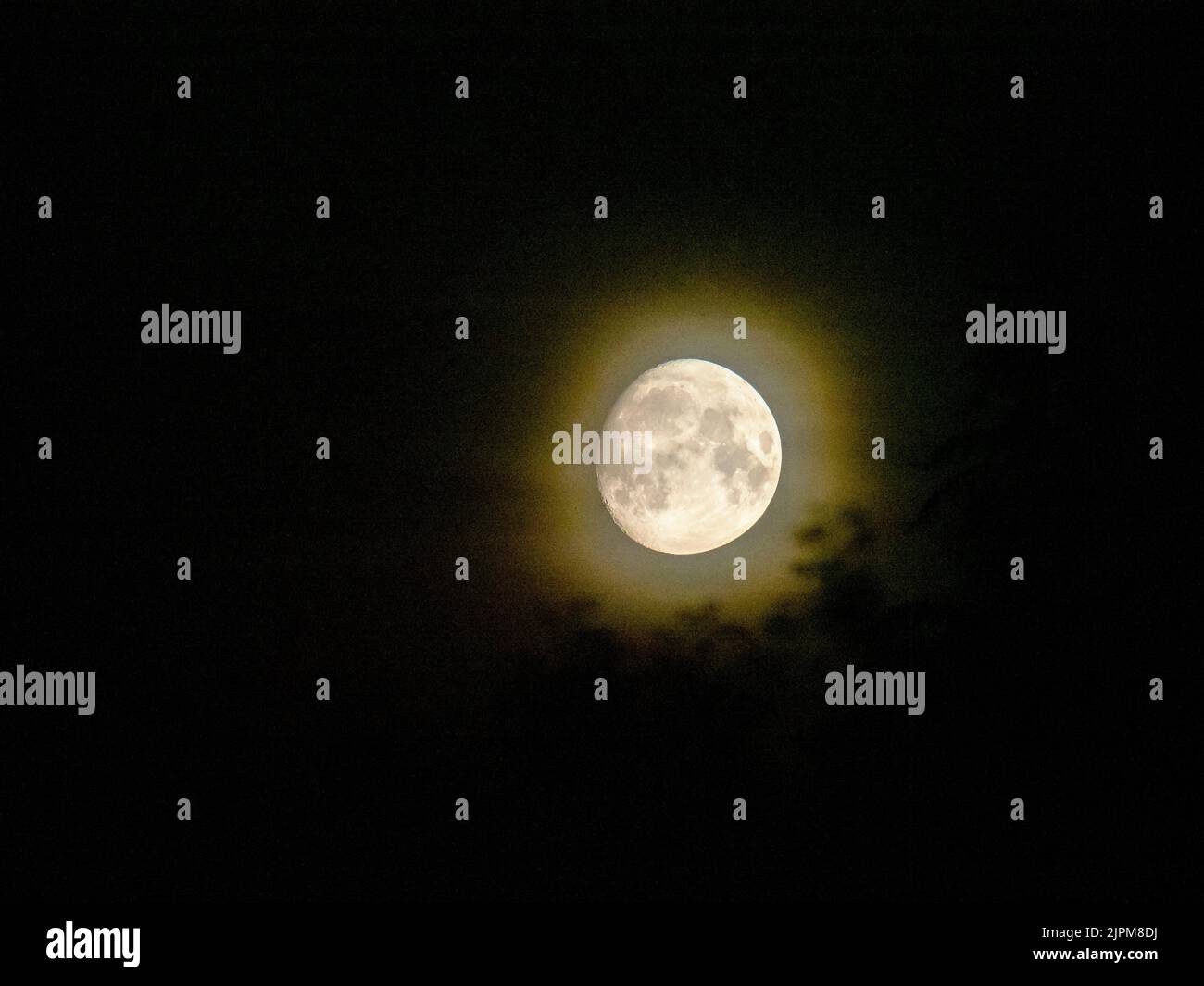 Moon behind trees hi-res stock photography and images - Alamy