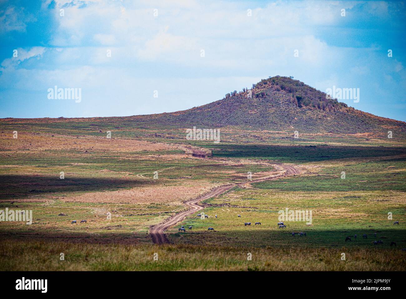 Maasai Mara National Game Reserve Park Narok County Kenya East Africa ...