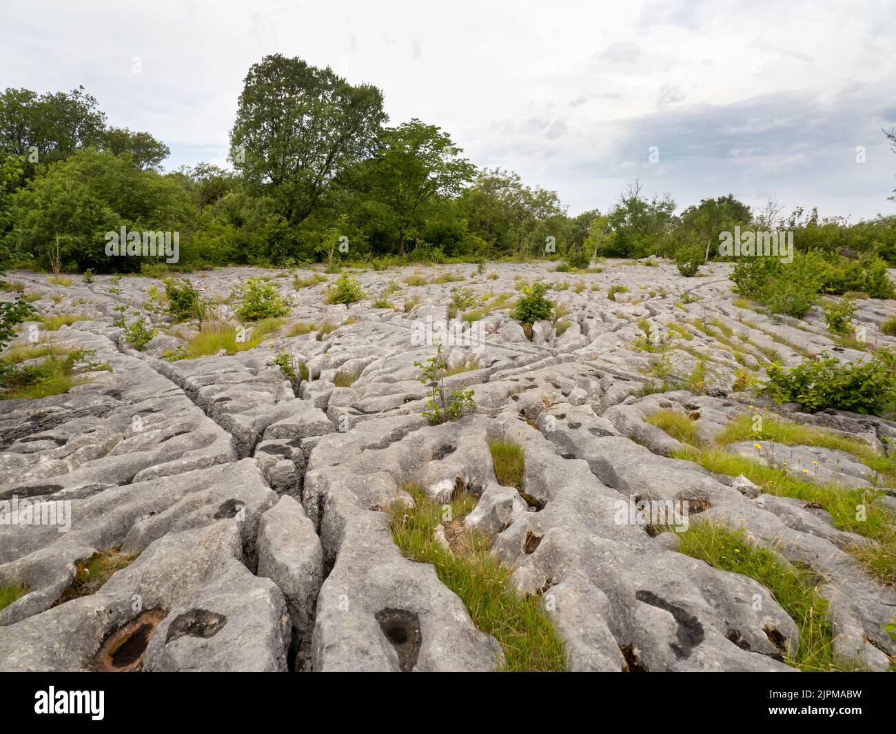 Limestone pavement on Hutton Roof, Cumbria, UK Stock Photo - Alamy