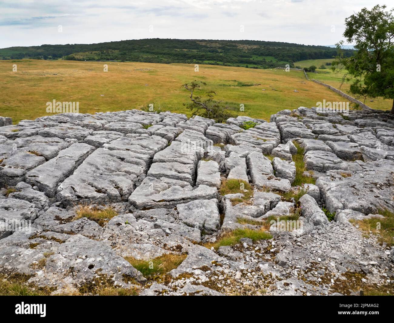 Limestone pavement on Farleton Fell, Cumbria, UK Stock Photo - Alamy