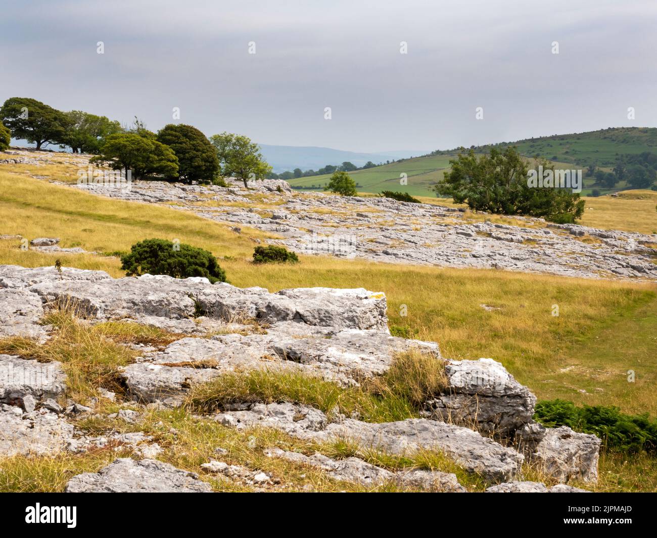 Limestone pavement on Farleton Fell, Cumbria, UK Stock Photo - Alamy