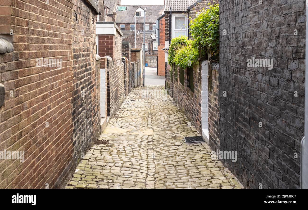 A cobbled back street between terrace housing, back gates and outside ...