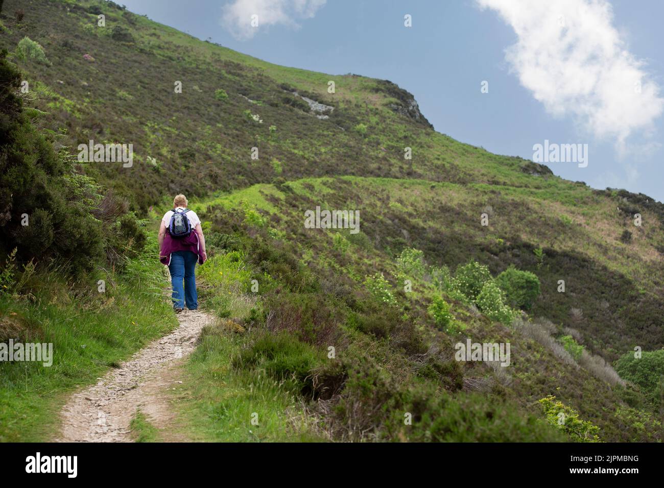 Lynmouth Devon United Kingdom, Back view of a lady hiker with backpack ...