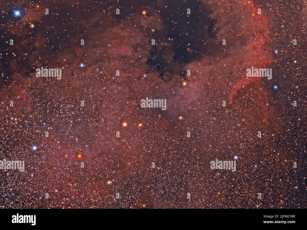 The North America Nebula an emission nebula in the constellation Cygnus, close to Deneb. The ...