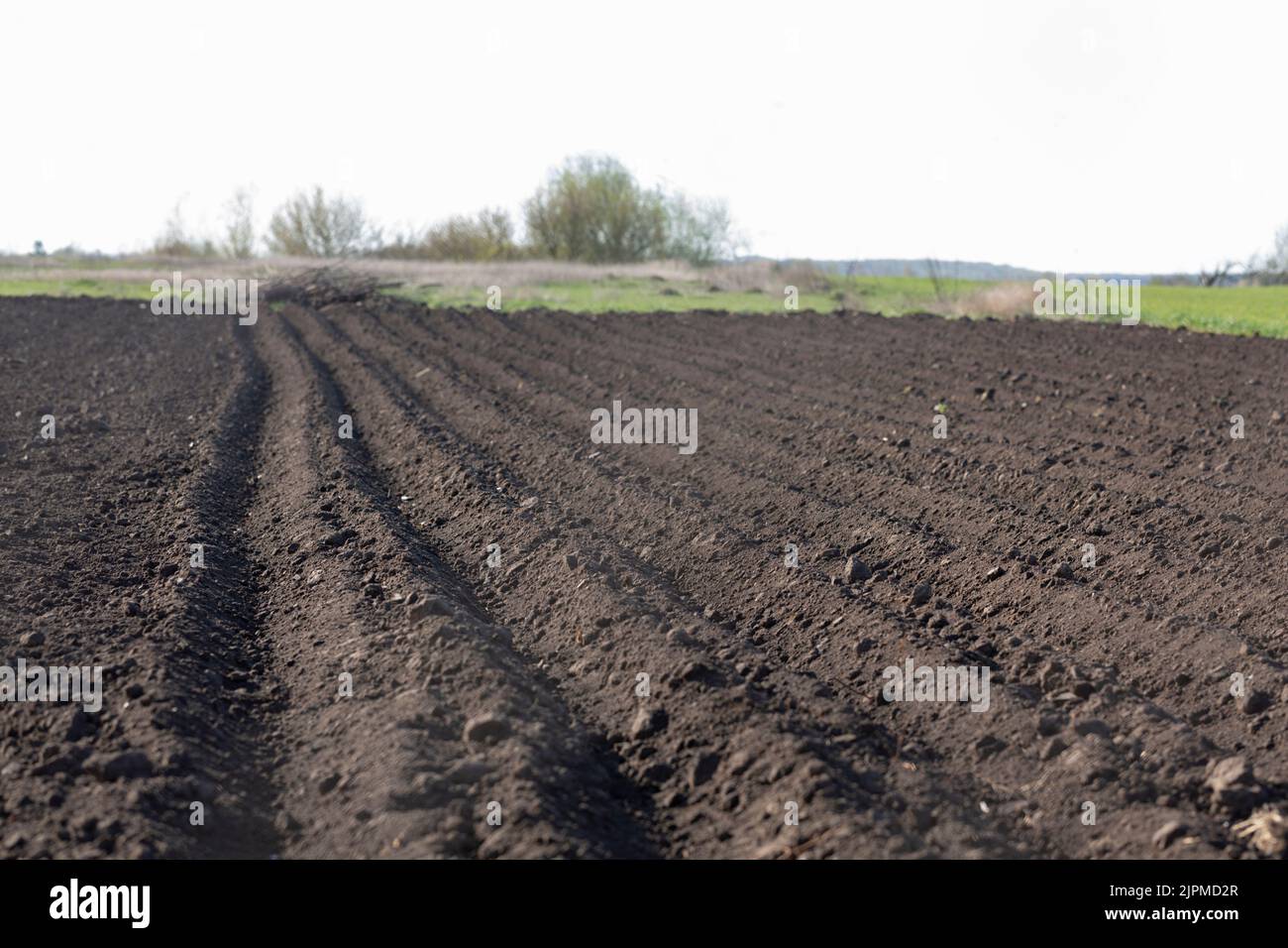 Spring arable land on a farm with black soil, fertile soil of the agro ...