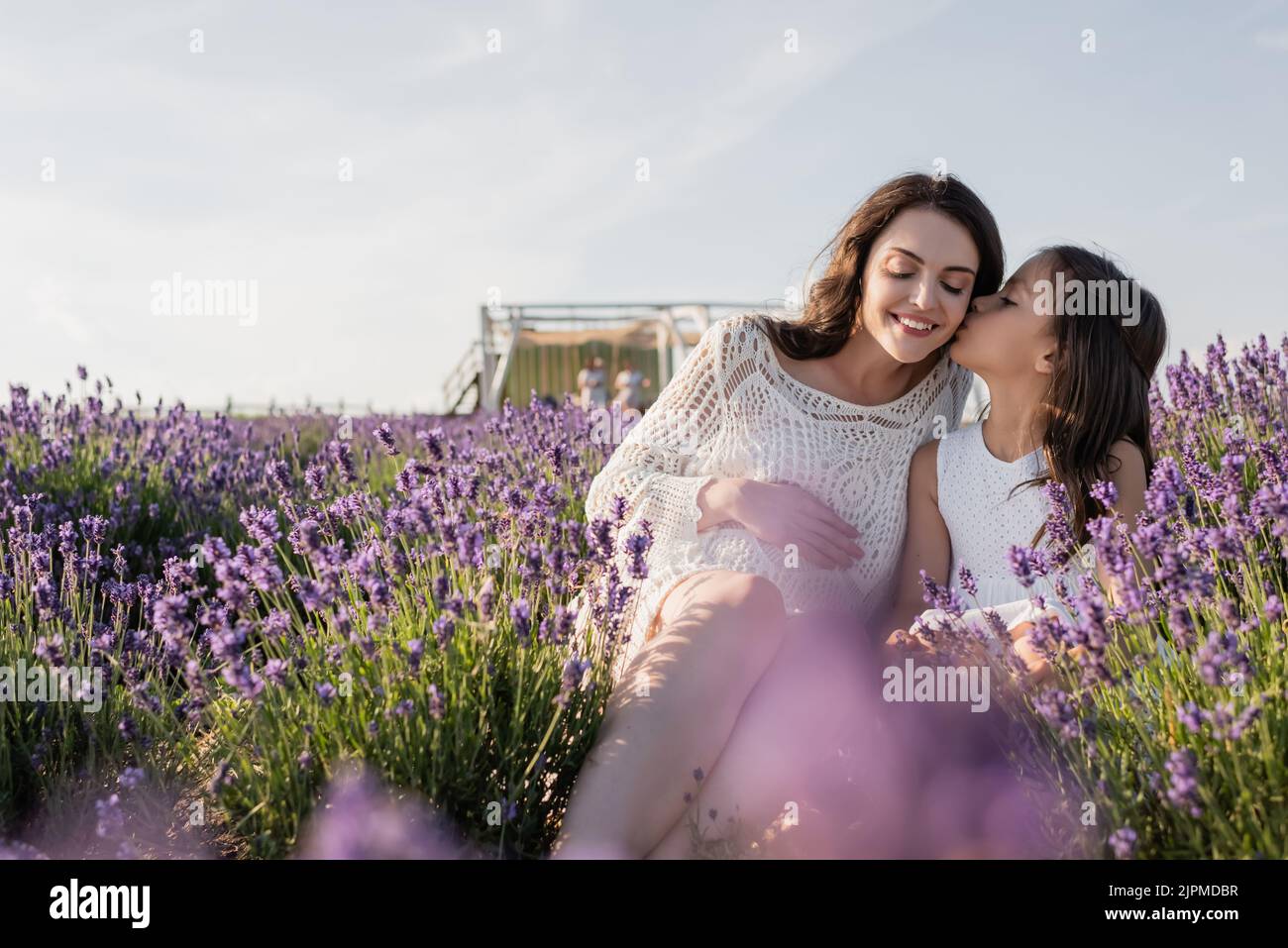 child kissing pregnant mother sitting in meadow near blooming lavender Stock Photo - Alamy