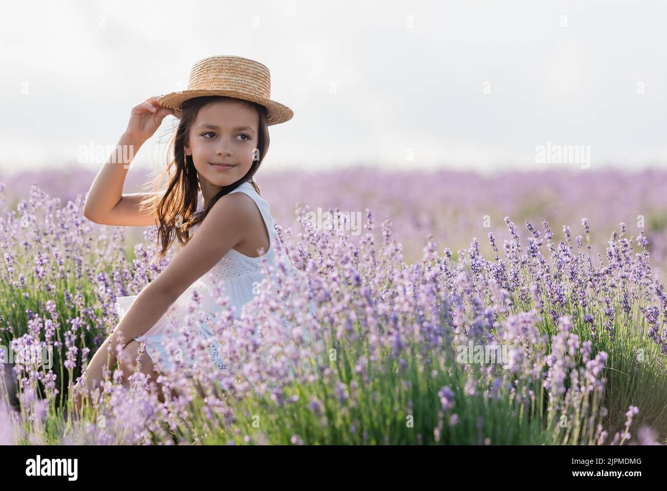 brunette girl in straw hat looking away in field with blooming lavender ...