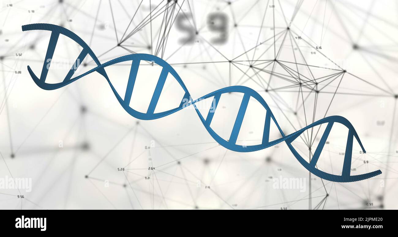 Image of dna strand over white background Stock Photo - Alamy