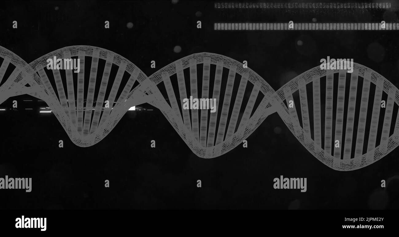 Image of dna strand over black background Stock Photo - Alamy