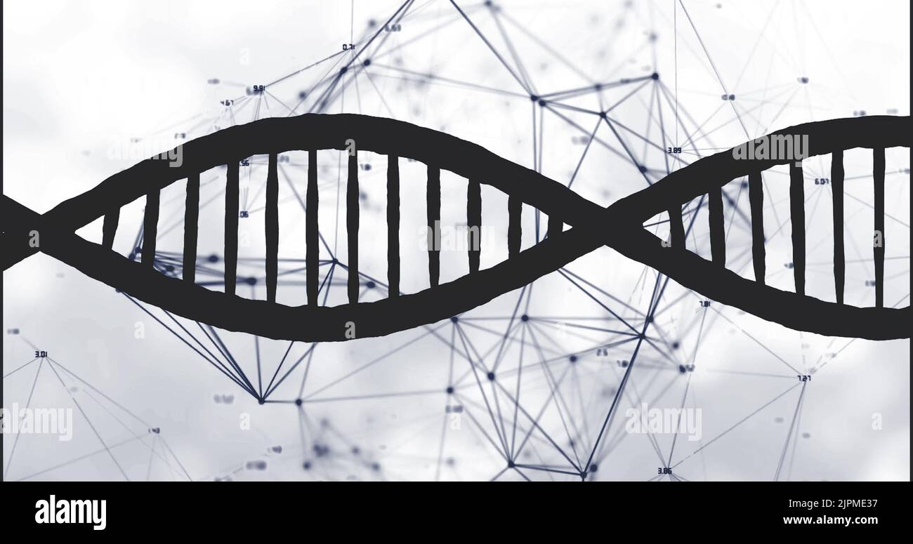 Black And White Dna Strand