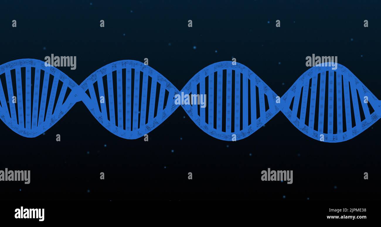 Image of dna strand over black background Stock Photo - Alamy